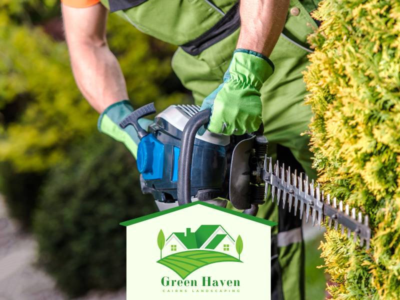 Garden Trees and Shrub Care | Nurture Your Cairns Greenery